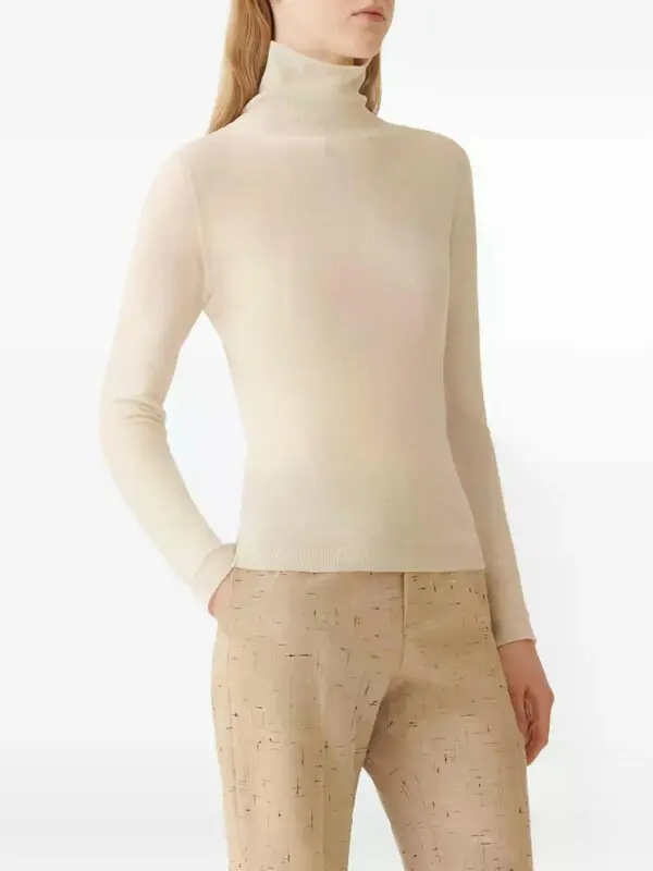 Fabiana Filippi Sequin Embellished Roll Neck Jumper
