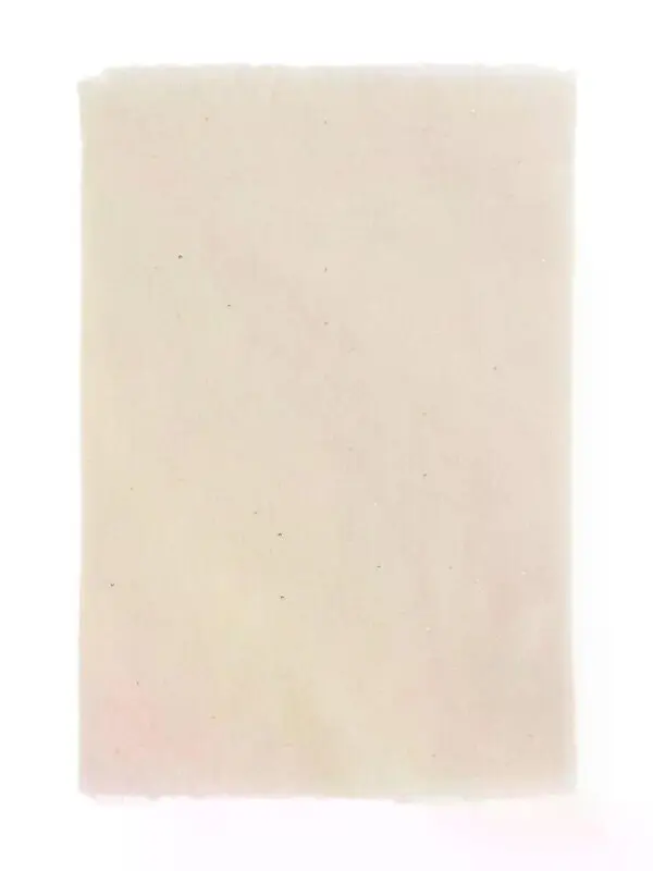 Faliero Sarti Embellished Frayed-edge Scarf - Neutrals