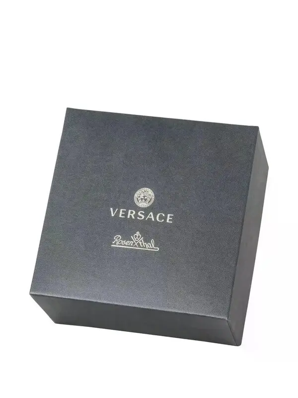 Versace Barocco Haze Mug