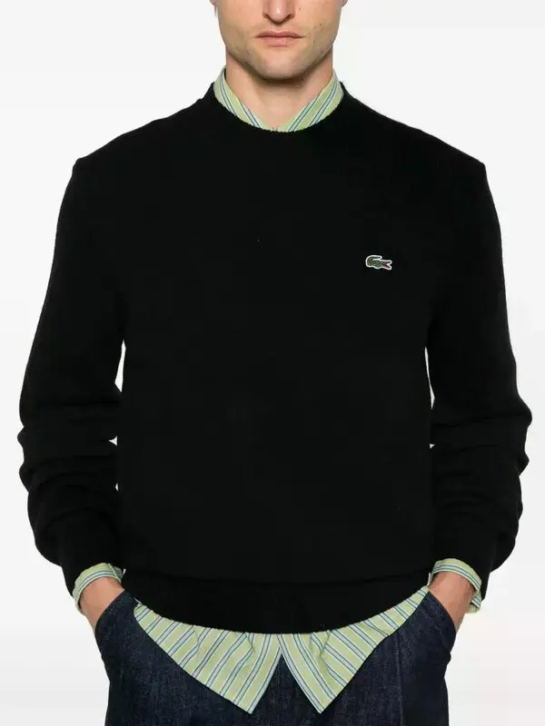 Lacoste Carded Wool Crew Neck Sweater