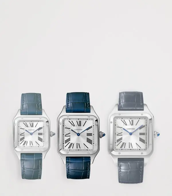Cartier Stainless Steel Santos-dumont Watch - Silver