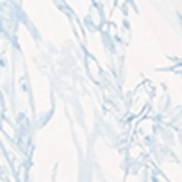 Harrods Toile Umbrella - Blue