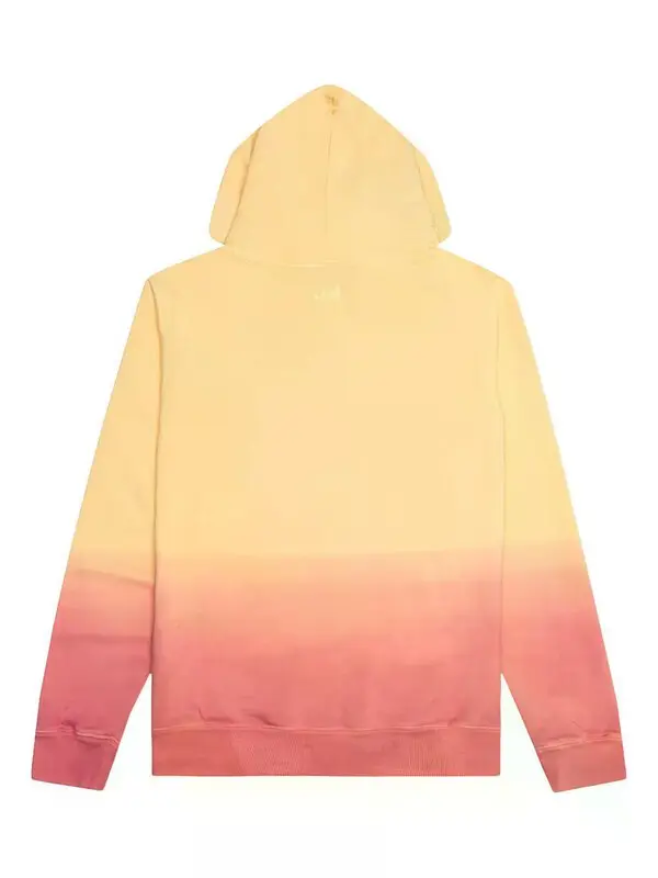 LANVIN Ombre Palm-tree Hoodie - Neutrals