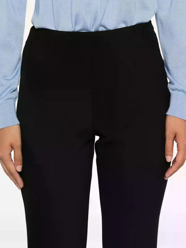 Peserico Pleated Front Trousers