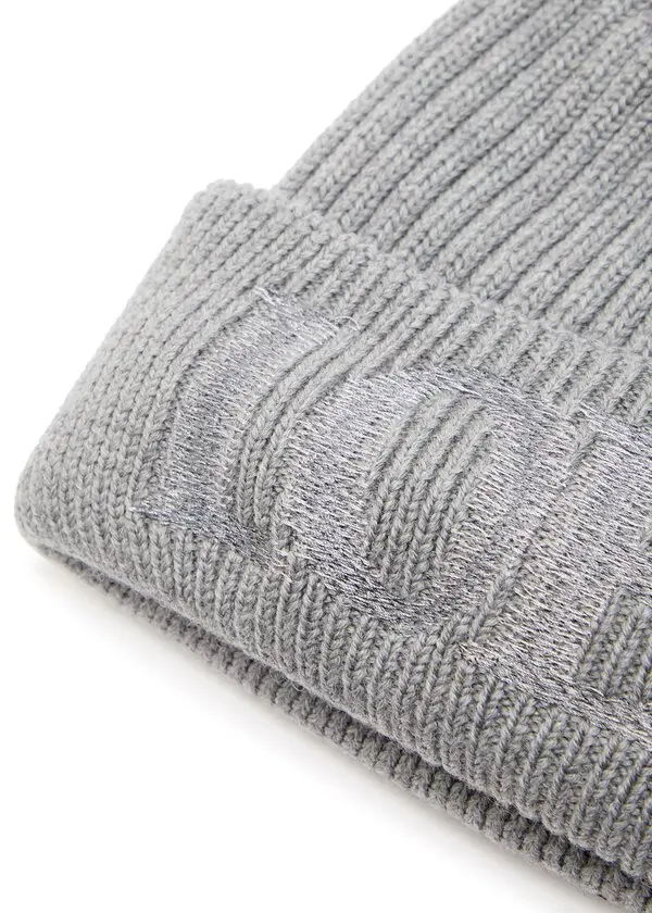 Loewe Logo Embroidered Beanie