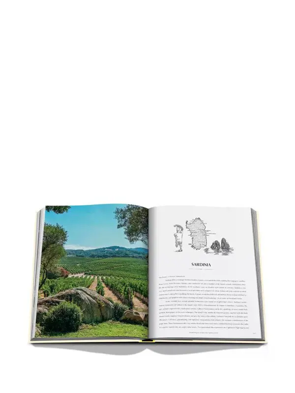 Assouline Mediterranean Islands Book - Yellow