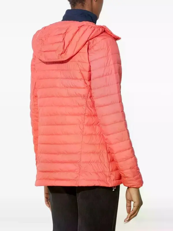 Columbia Hooded Zip-up Jacket