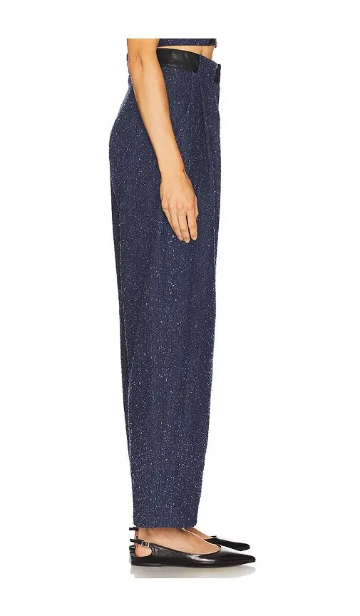 SABINA MUSAYEV Joseph Pants