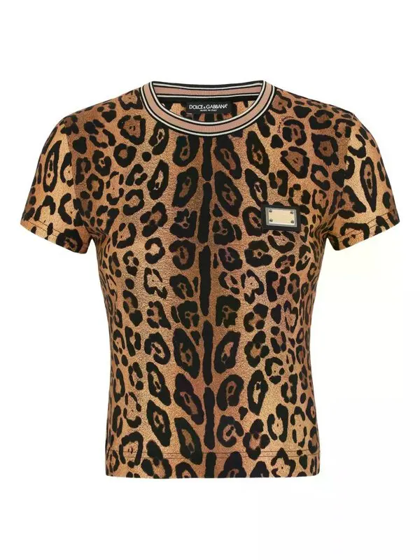 Dolce & Gabbana Leopard-print Crew-neck T-shirt - Brown