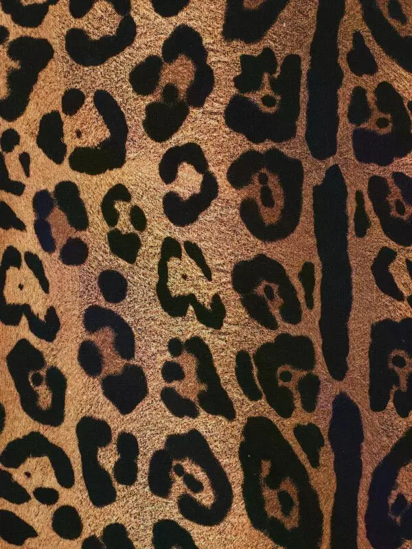 Dolce & Gabbana Leopard Print Crewneck T-shirt