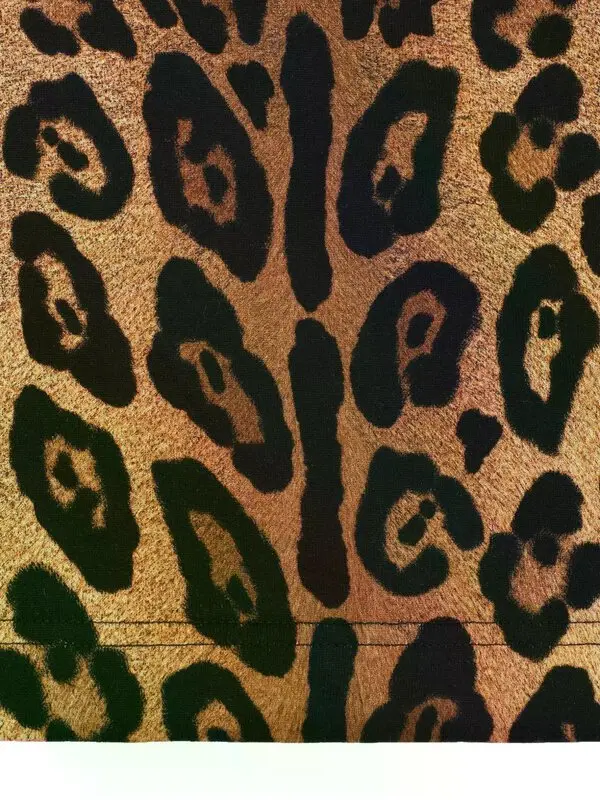 Dolce & Gabbana Leopard Print Crewneck T-shirt