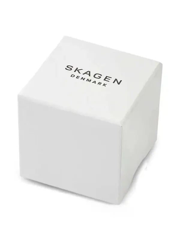 Skagen Rectangular Watch