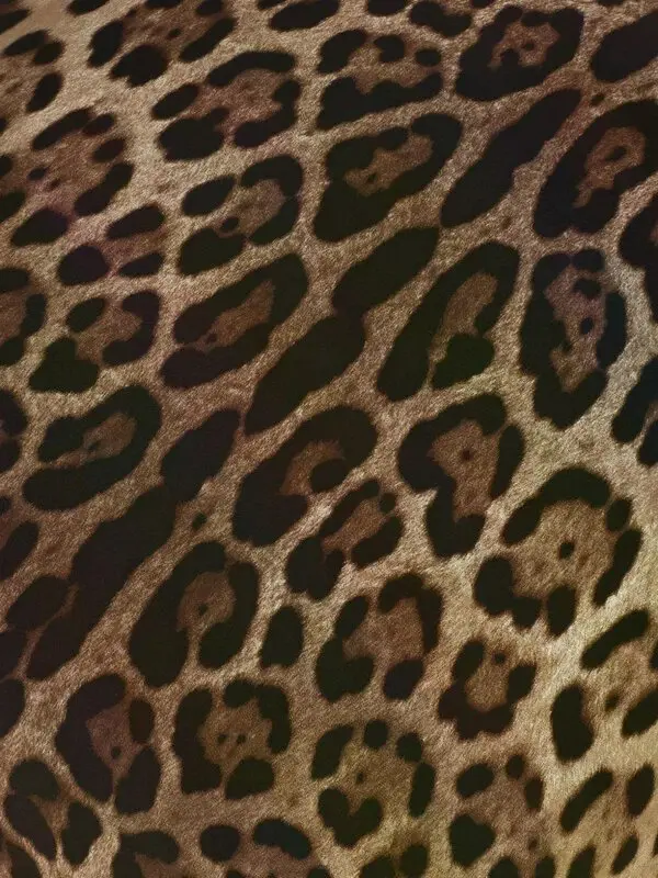 Dolce & Gabbana Leopard-print Silk Cushion - Brown
