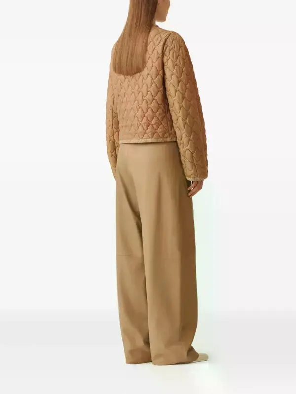 Fabiana Filippi Quilted Single-breasted Puffer Jacket - Brown