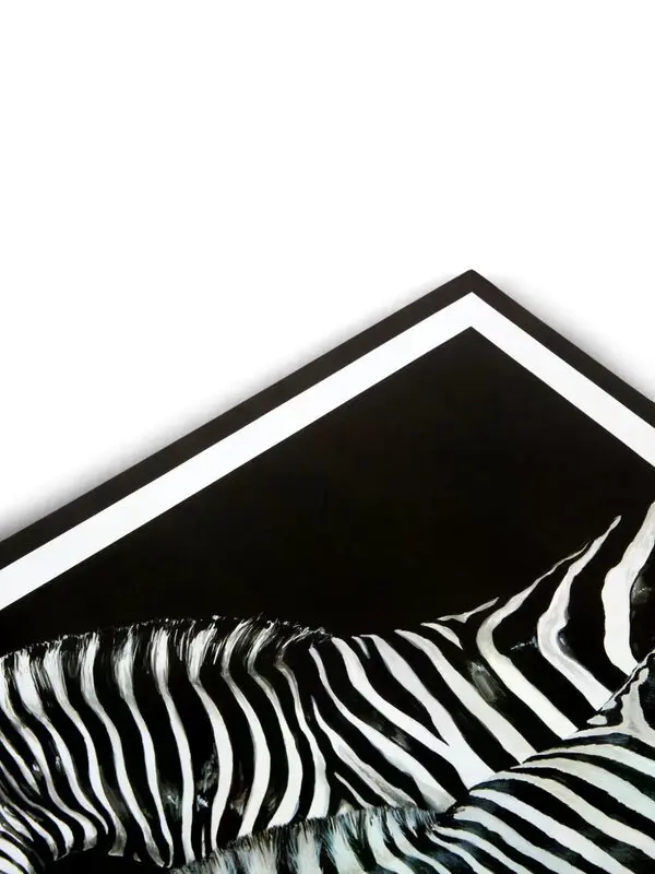 Dolce & Gabbana Zebra-print Set Of Thirty-six Placemats