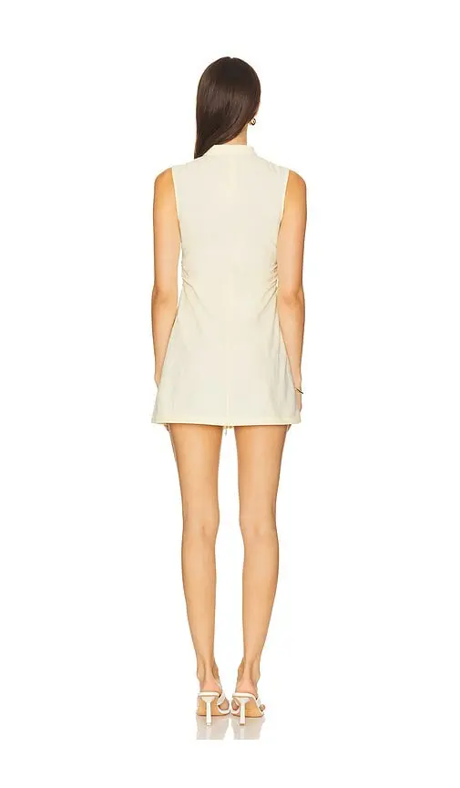 Lioness Fever Mini Dress