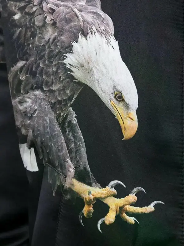 Neil Barrett Eagle Print Bomber Jacket