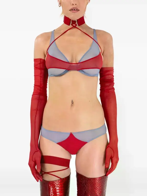 ZHILYOVA Asteria Mesh-panel Briefs - Blue