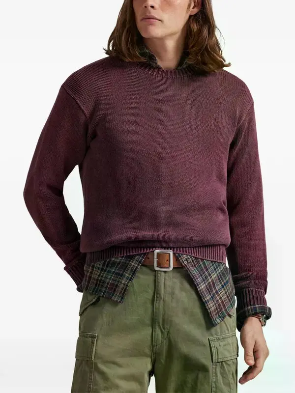 Polo Ralph Lauren Long-sleeved Cotton Crew Neck Sweater