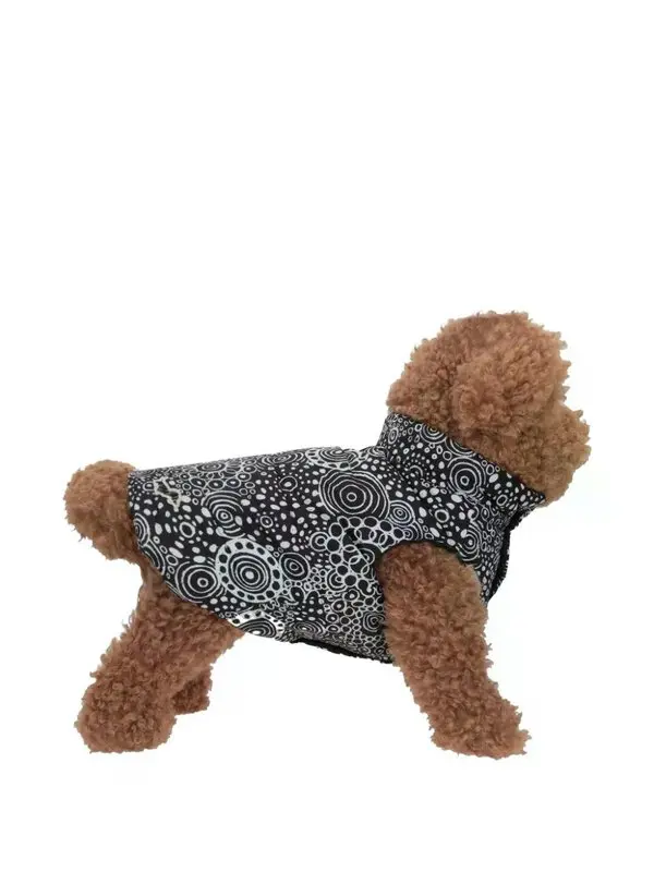 POLDO DOG COUTURE 10 Corso Como Reversible Padded Dog Gilet