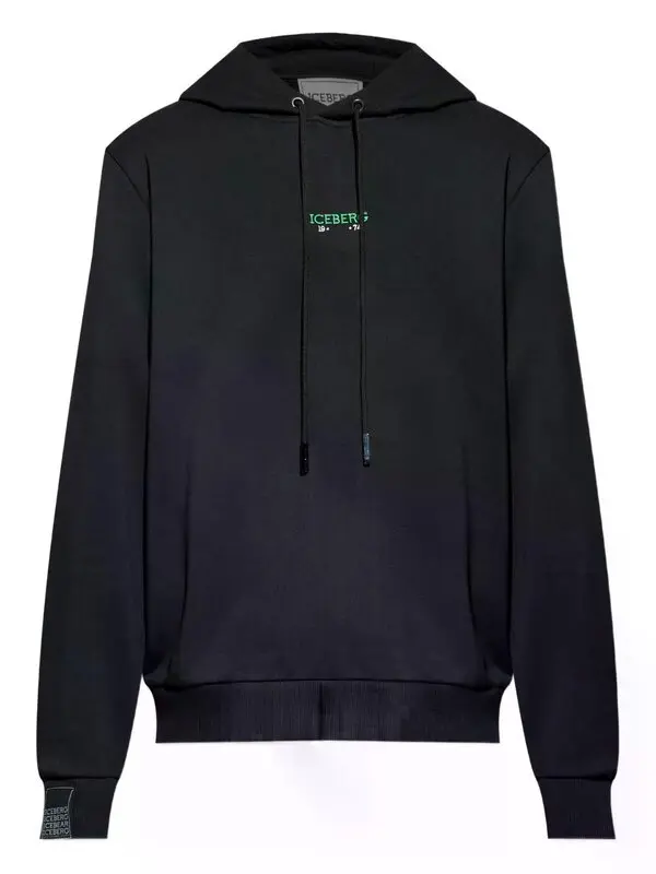 Iceberg Graphic Print Hoodie
