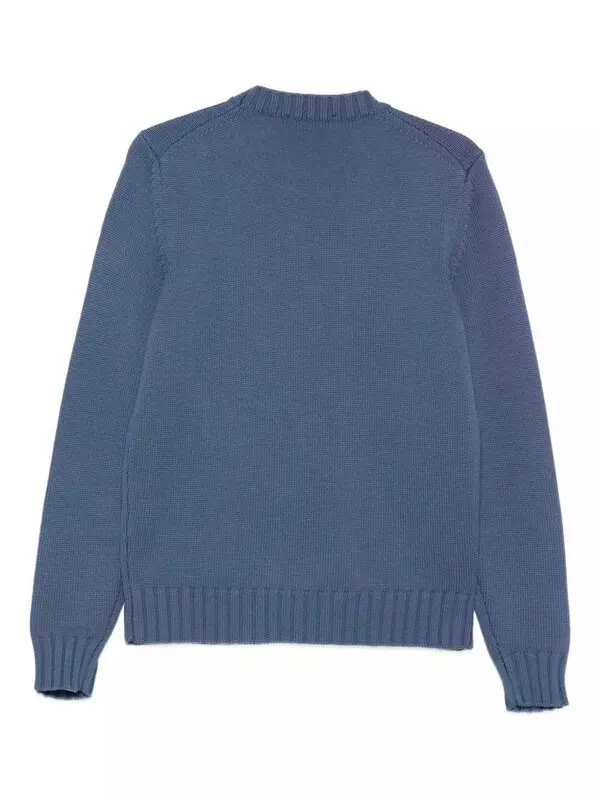 FILIPPO DE LAURENTIIS Crew Neck Sweater