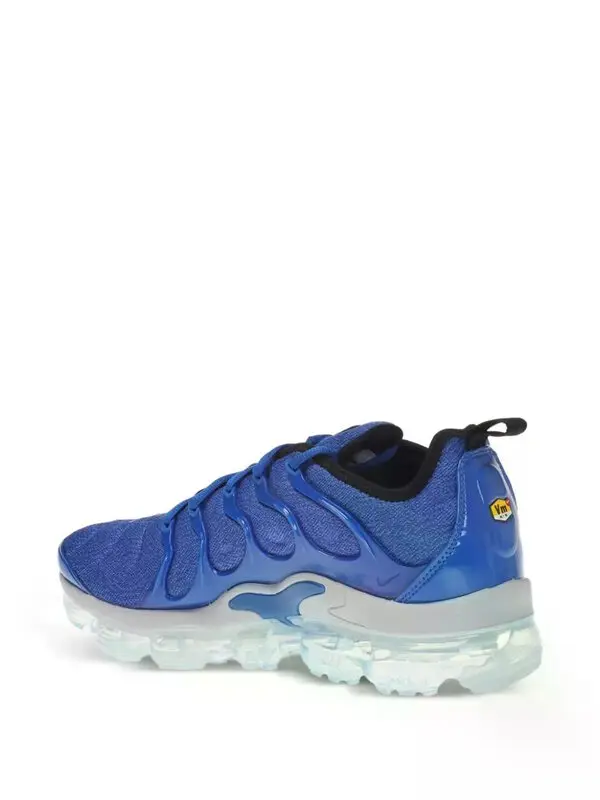 Nike Vapormax Plus Sneakers - Blue