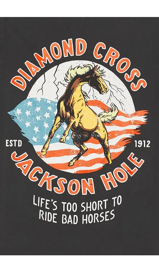 DIAMOND CROSS RANCH American Horse In . Also