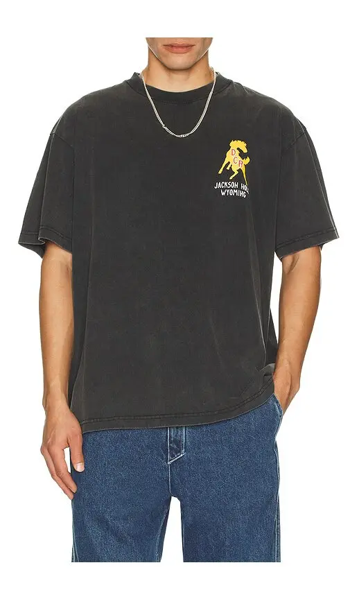 DIAMOND CROSS RANCH American Horse In . Also - Black