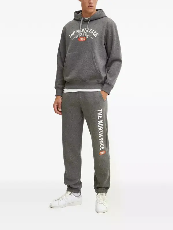 The North Face Graphic Hooded Sweater