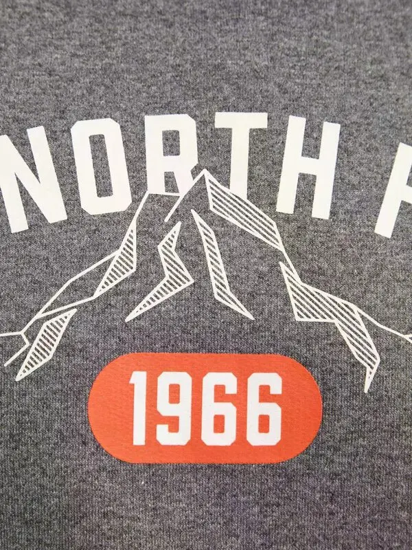 The North Face Graphic Hooded Sweater