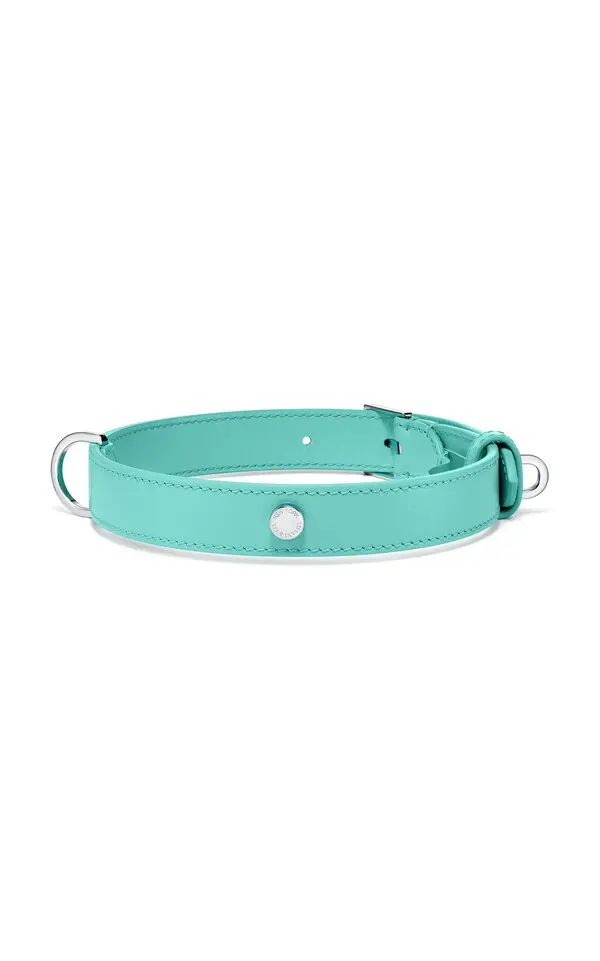 Tiffany & Co. Exclusive Pet Essentials Large Leather Collar - Blue