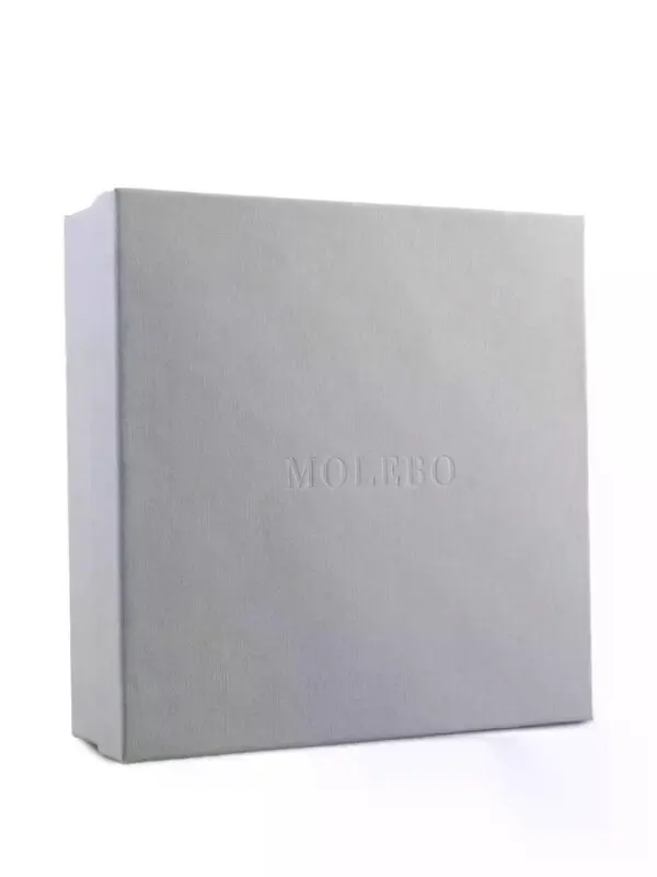 MOLEBO Pony Hair Belt With Silver-tone Buckle