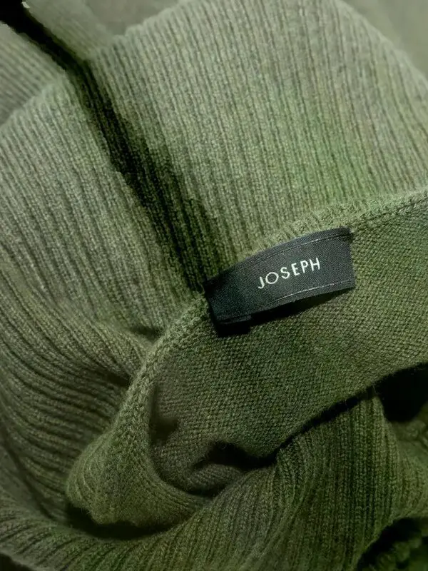 JOSEPH Sally Turtleneck Wool Dress