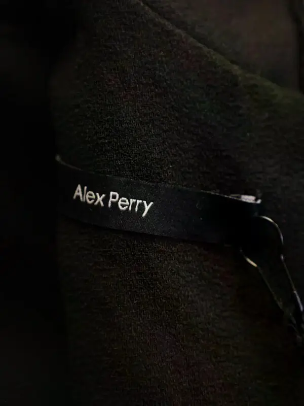Alex Perry Mock Neck Long Sleeve Mini Dress