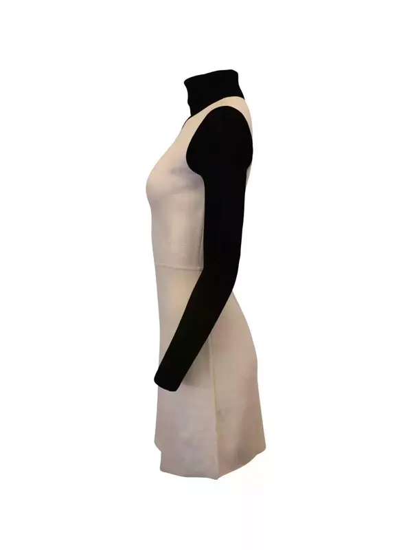 Theory Myrelle Evian Turtleneck Dress