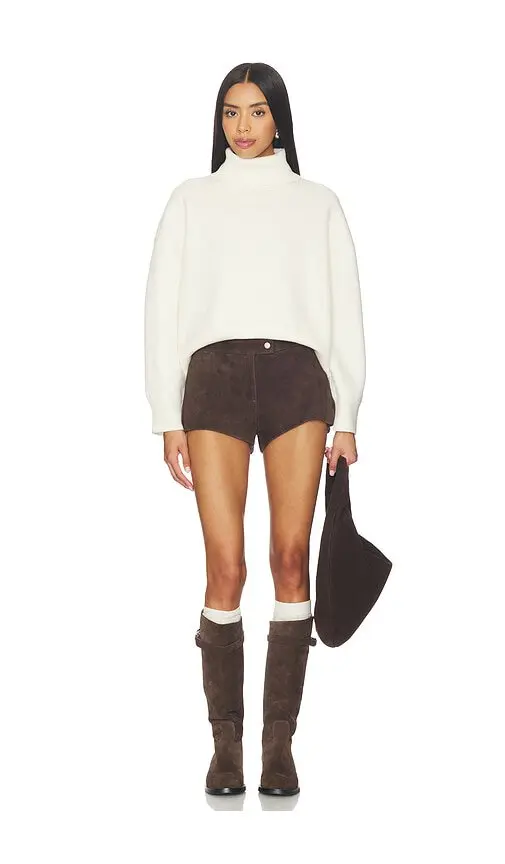 Free People Sigma Turtleneck Sweater