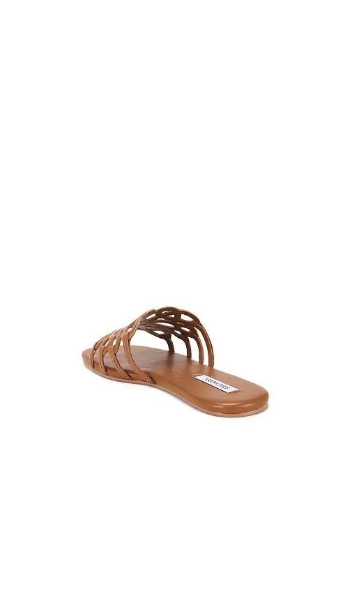 Steve Madden Lotus Leather Flat Sandals