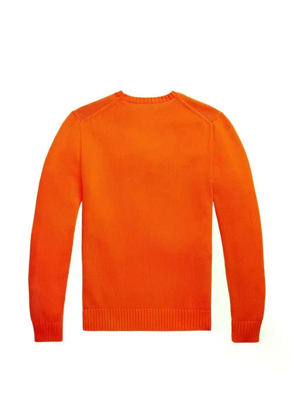 Polo Ralph Lauren Embroidered Crew Neck Sweater - Orange