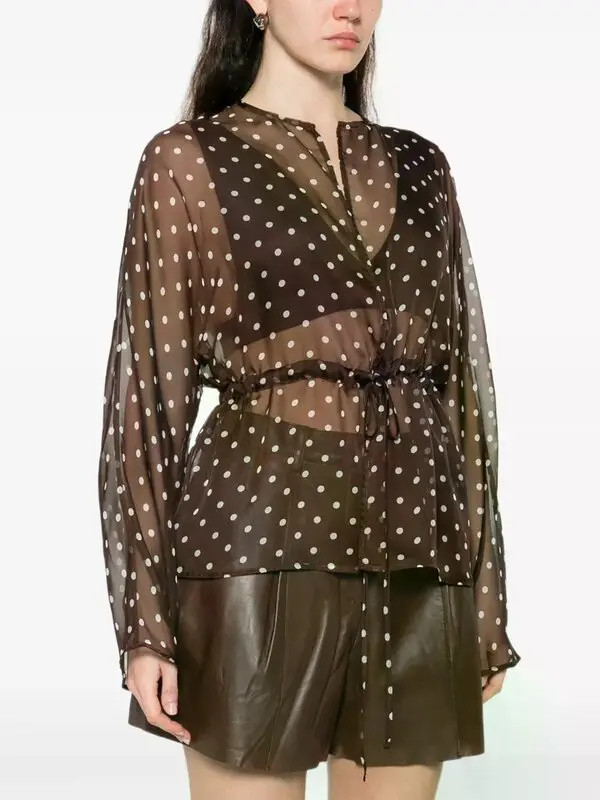 P.a.r.o.s.h Polka Dot Sheer Blouse - Brown