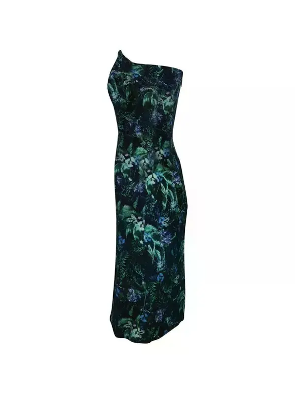 Erdem Floral Print Strapless Midi Dress