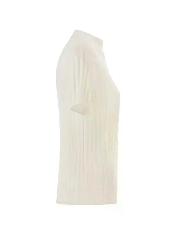 Peserico Ribbed Knit Short-sleeve High-neck Top