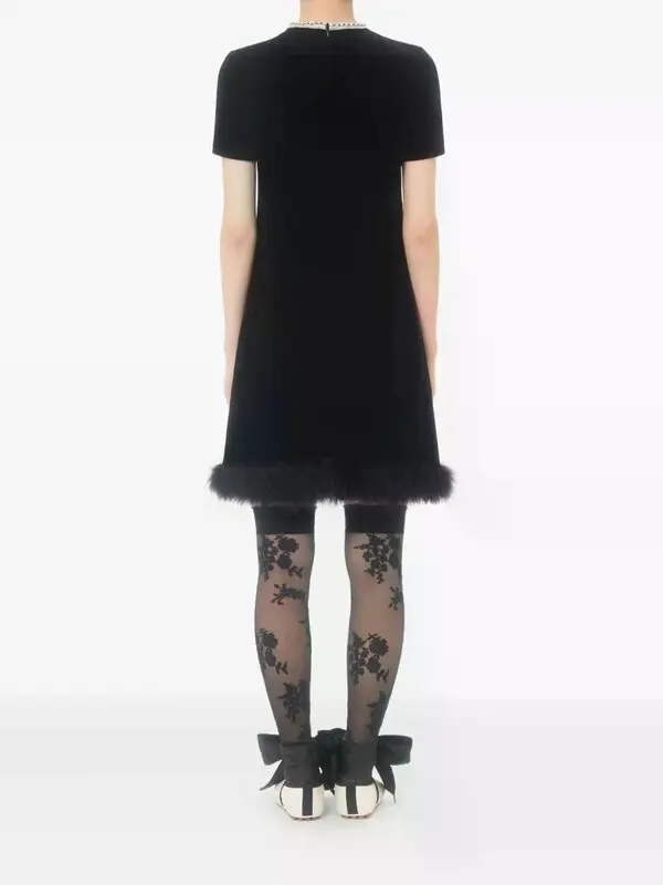 Valentino Garavani Mini Feather Trimmed Embroidered Bow Dress