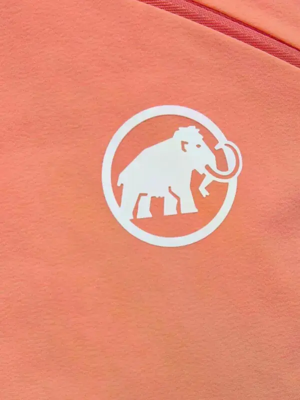 MAMMUT Aenergy Light Shorts