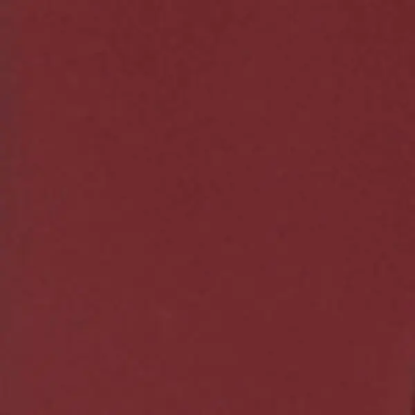 Max Mara Acetate Butterfly Sunglasses