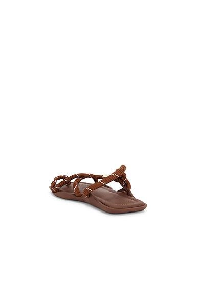 Flowze Square Sandal - Brown