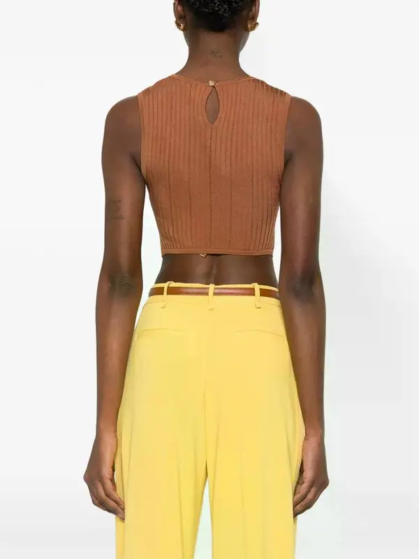 Elisabetta Franchi Ribbed Crossover Knit Top With Gold Detail - Brown