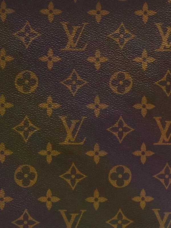 LOUIS VUITTON Large Key Pouch