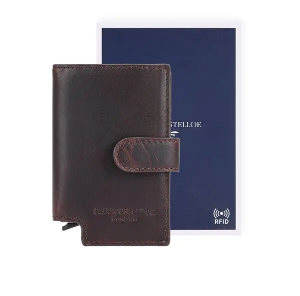 Paul Costelloe Elio Leather Passport Holder - Brown