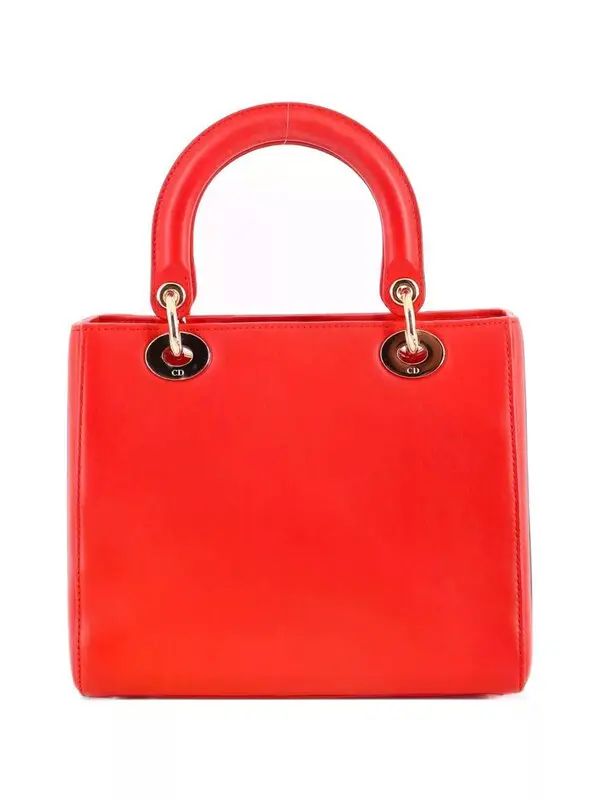 Dior Lady Bag Limited Edition Niki De Saint Phalle Embroidered Leather Medium Satchel - Multicolour